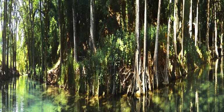 Frio River Photography by Robert Kantz | Saatchi Art