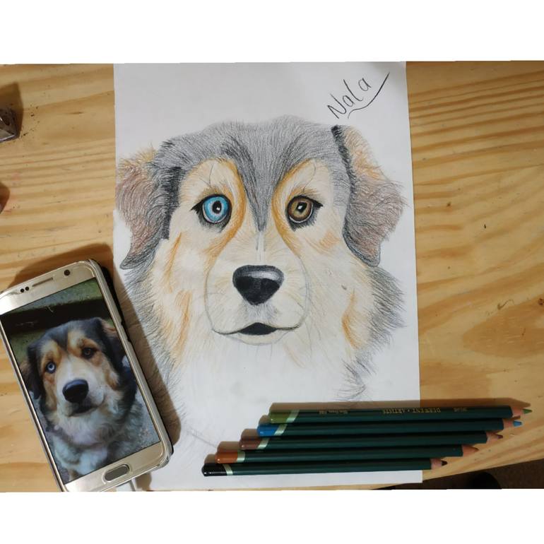 Dog ( Nala) Drawing by Megan Atwell | Saatchi Art