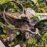 Symbiotics Sculpture by Garret Kane | Saatchi Art