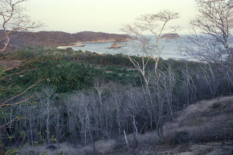 The solitary bay of Tangolunda in 1978, Huatulco, Oaxaca Photography by ...