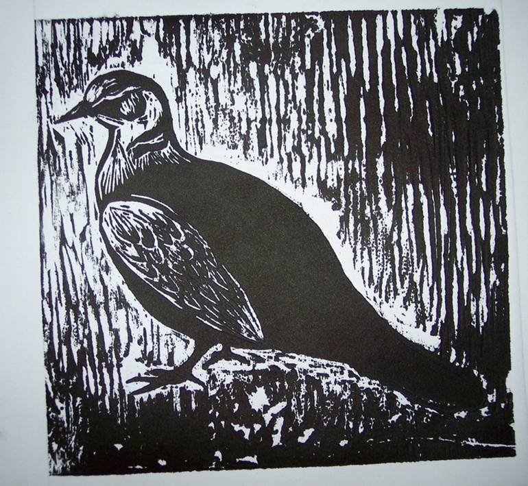 Bird Photography by Katie Jenkins | Saatchi Art