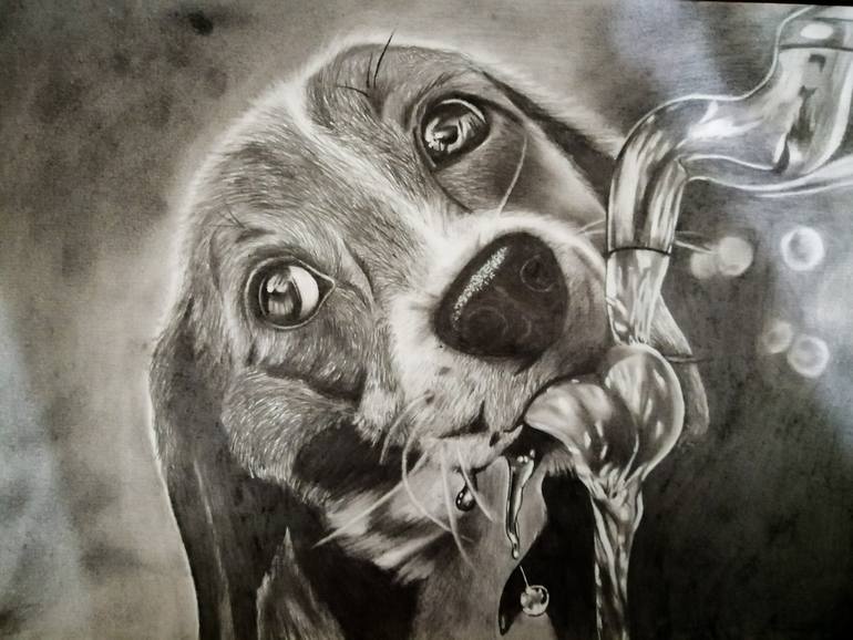 Dog and water Drawing by Alina Pavlova | Saatchi Art