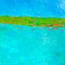 SEASIDE by Leslie Merrill Painting by Leslie Merrill | Saatchi Art