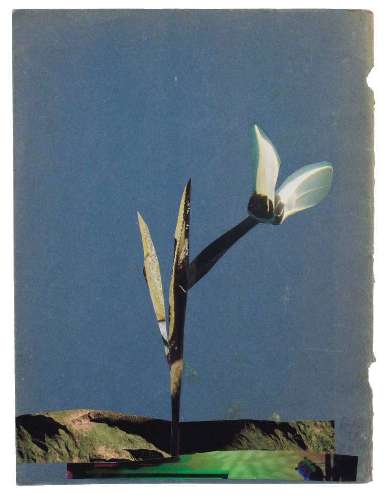 In the Garden Collage by Anke Roder | Saatchi Art