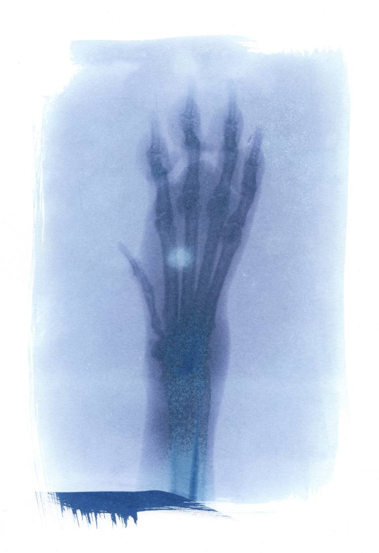 Stigmata at the Dog Park - Limited Edition of 1 Photography by Jackie ...