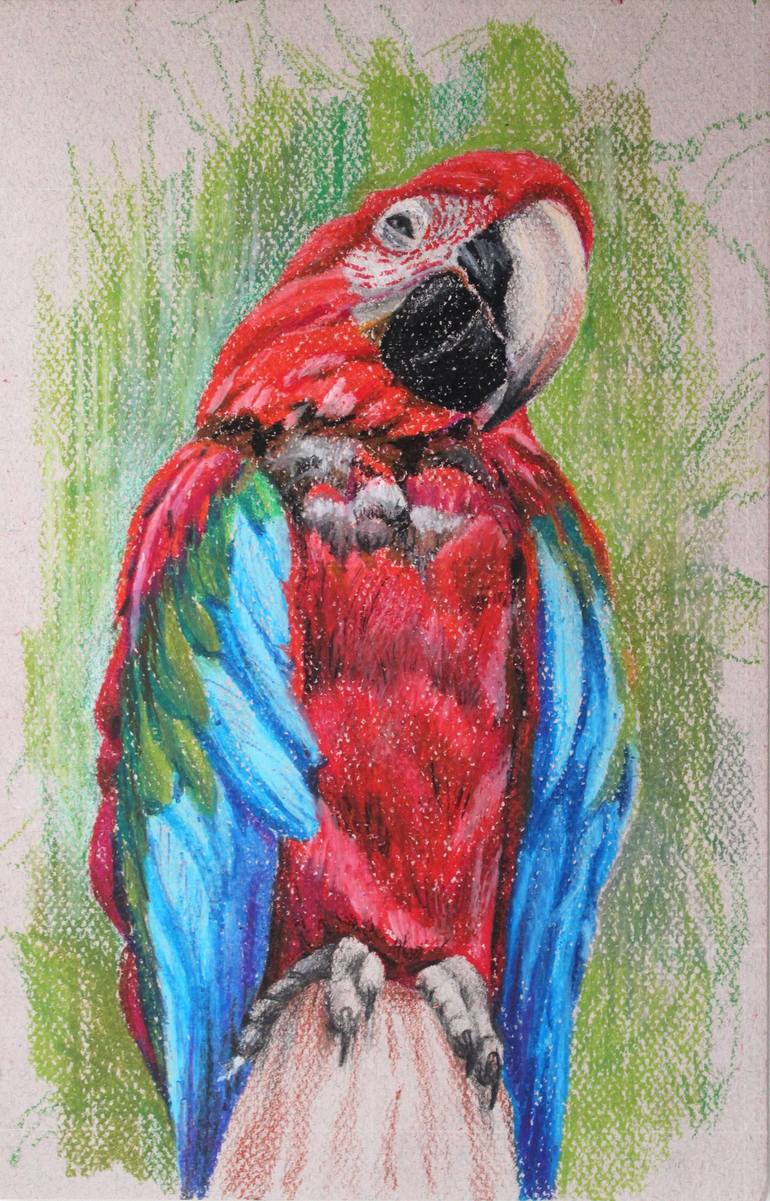 Bright macaw in nature Drawing by Marina Artamonov | Saatchi Art