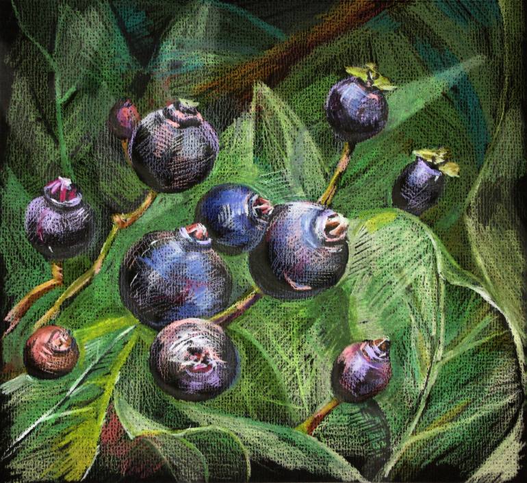 Wild blueberries Drawing by Marina Artamonov | Saatchi Art