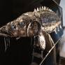 Sturgeon Sculpture by Evgen Zaborovsky | Saatchi Art