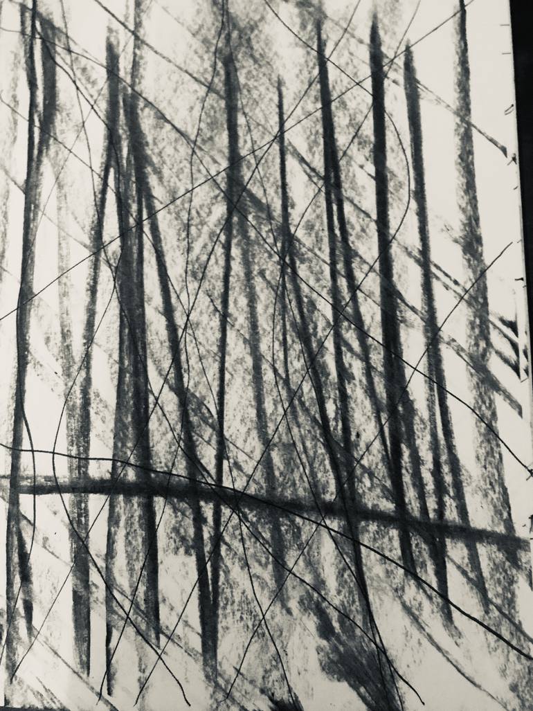 Hedges Drawing by Michael Scaife | Saatchi Art