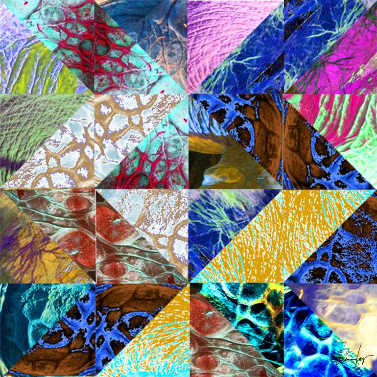 Skins Texture - Limited Edition of 12 Photography by Elissa Joy ...