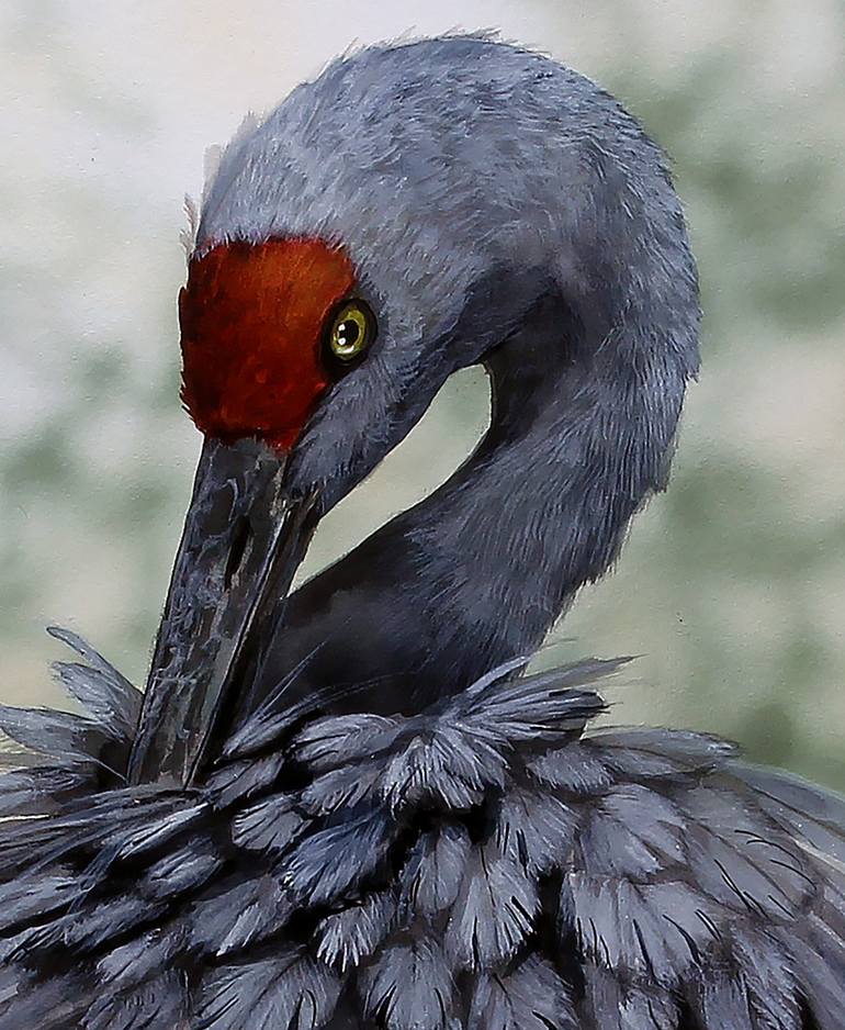 Australian Brolga Painting by Paul Margocsy | Saatchi Art