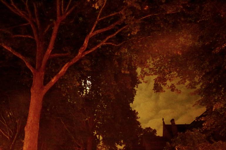 Autumn Night - Limited Edition of 10 Photography by James Herner ...