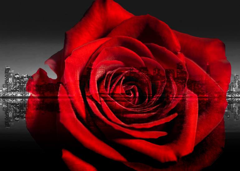 Rose San Francisco Collage by Olena Tymchuk | Saatchi Art