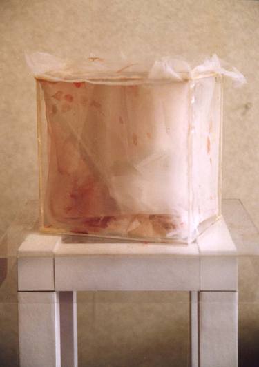 Yuma Tomiyasu Artworks | Saatchi Art