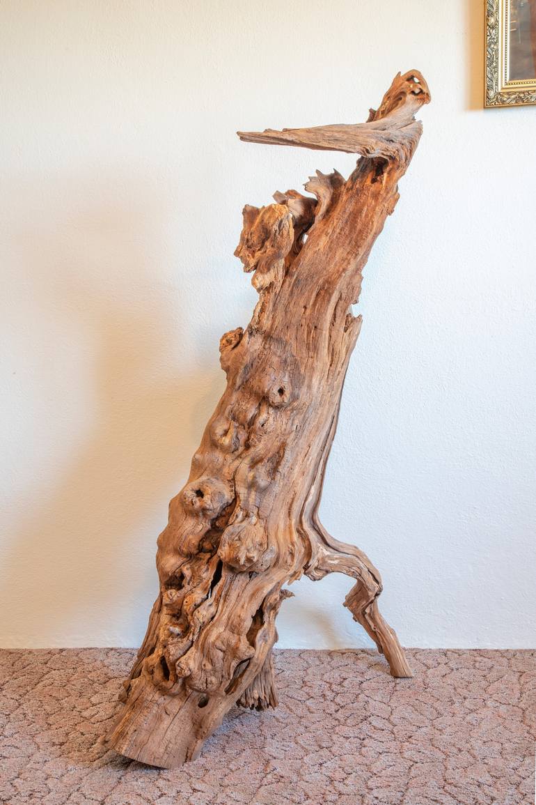 Time against the wind - Morus nigra - decorative sculpture Sculpture by ...