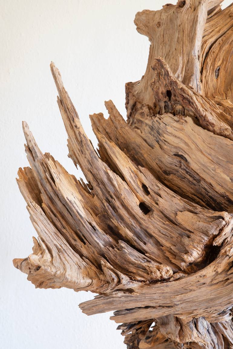 Pine decorative sculpture - natural abstraction Sculpture by Jozef ...
