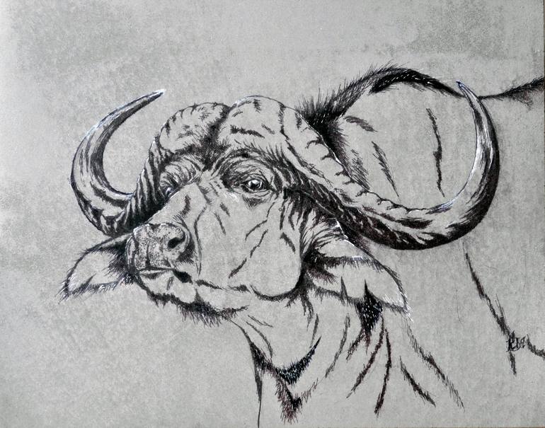 African buffalo Drawing by Doctor Kashchenko | Saatchi Art
