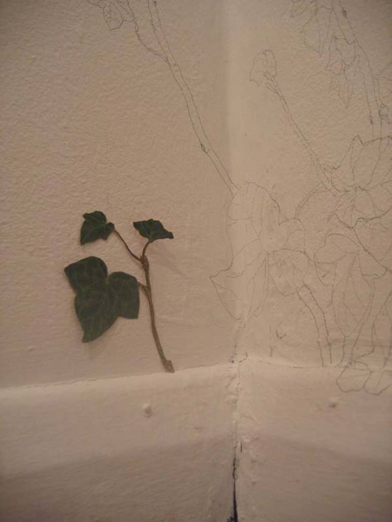 Ivy - wall drawing Drawing by sin mui chong-martin | Saatchi Art