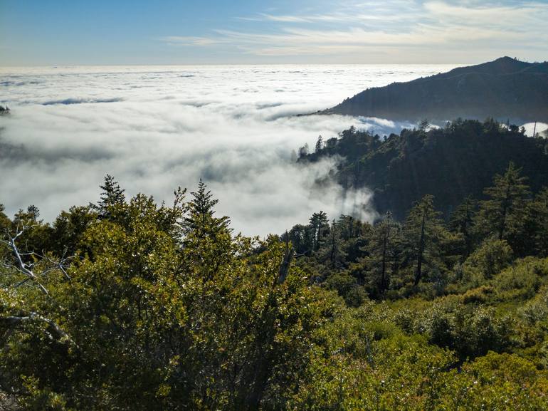 The Overlook Photography by Aaron Williams | Saatchi Art