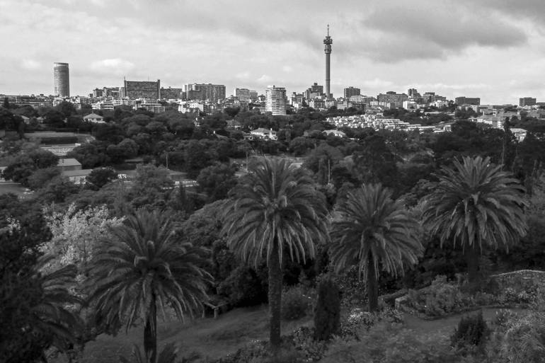Looking south from 7 Rose Road, Johannesburg. - Limited Edition of 10 ...