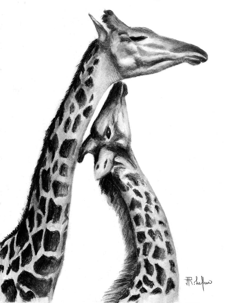 Affectionate Encounter Drawing by Ronel Lafleur | Saatchi Art