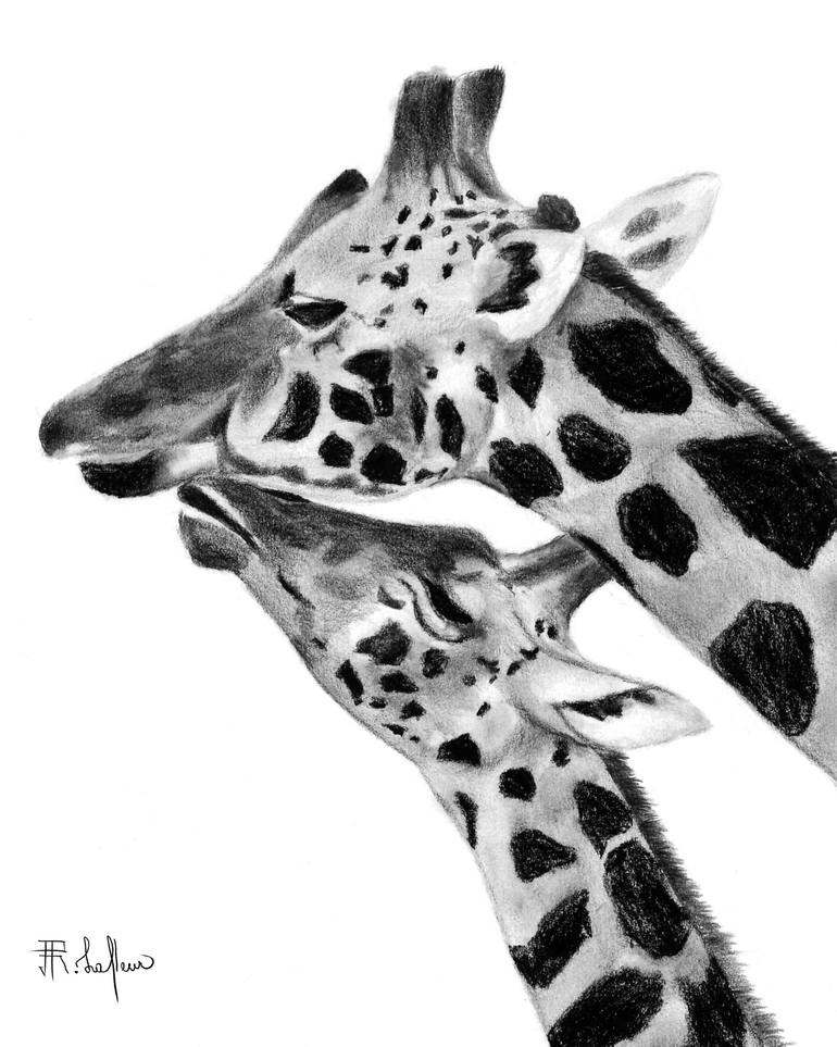 Giraffes in Harmony Drawing by Ronel Lafleur | Saatchi Art