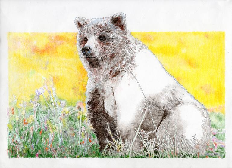 Big Yella Bear Drawing by Dan Tomberlin | Saatchi Art