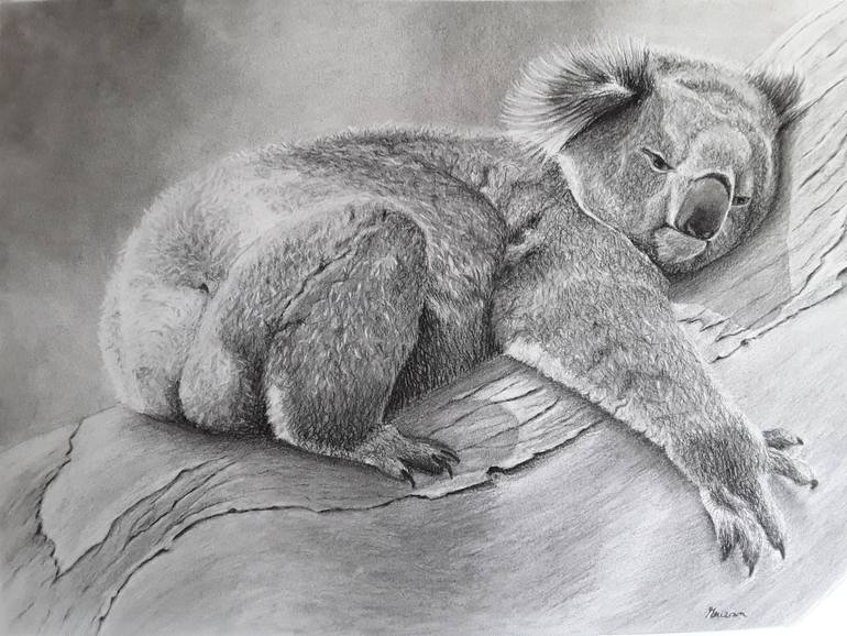 Koala Drawing by Marta Mizova | Saatchi Art