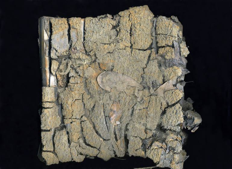 Square Bible, Limited Edition 7 of 30 * Portfolio Print * Photography ...