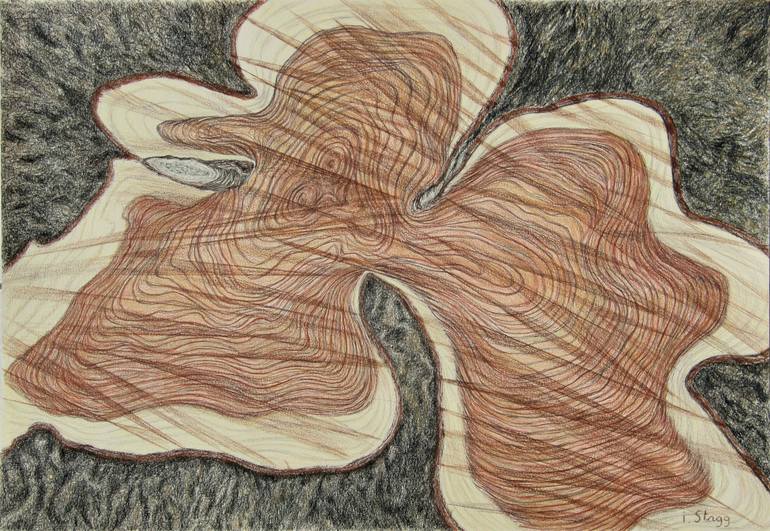 Imprint of survival Drawing by Isabelle Stagg | Saatchi Art