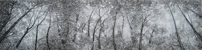 Oaks and Pines II Drawing by Isabelle Stagg | Saatchi Art