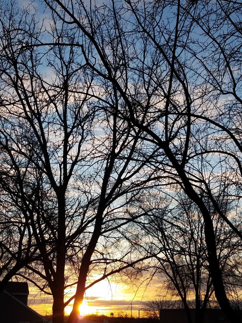 Good Morning Photography by Martin Coffman | Saatchi Art