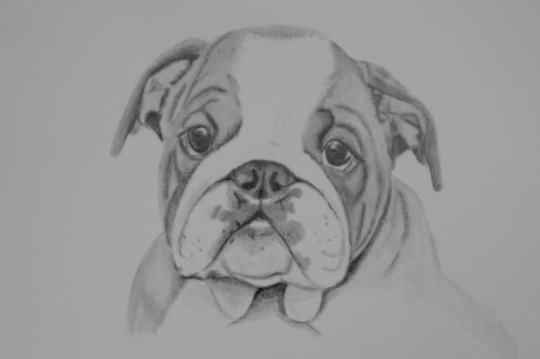 Winston Drawing by Kelli Nuttall | Saatchi Art