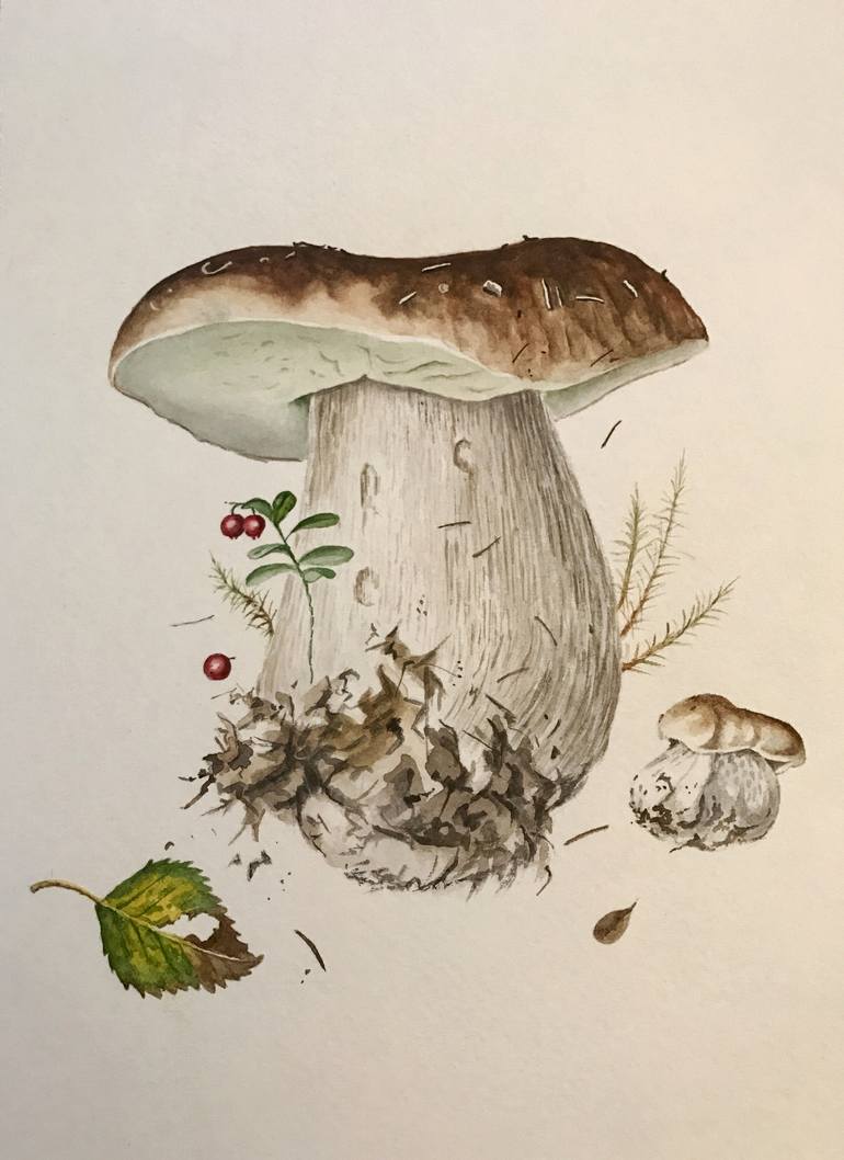 Botanical illustration. White mushroom Painting by Elena Maslova ...