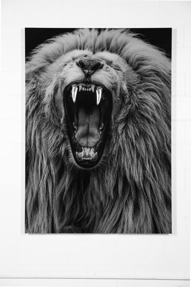 SHALOM - Limited Edition of 5 Photography by simon needham | Saatchi Art