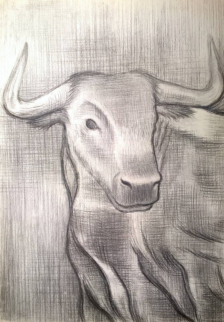 Bos Taurus Drawing by Paulo Silva | Saatchi Art
