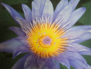 James R Lane Artworks | Saatchi Art