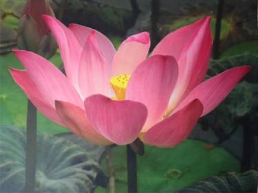 James R Lane Artworks | Saatchi Art