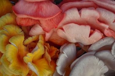 James R Lane Artworks | Saatchi Art