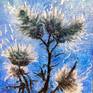 Dry herbs.Thistle Painting by Galina Rodionova | Saatchi Art