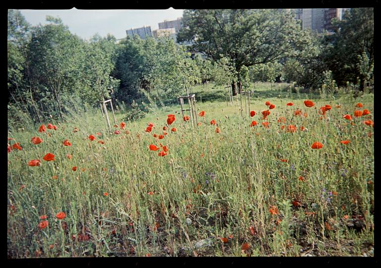 Red Riding Hoods Photography by Monika Stacho | Saatchi Art