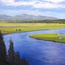 Hayden Valley, Yellowstone Painting by Ron Zito | Saatchi Art