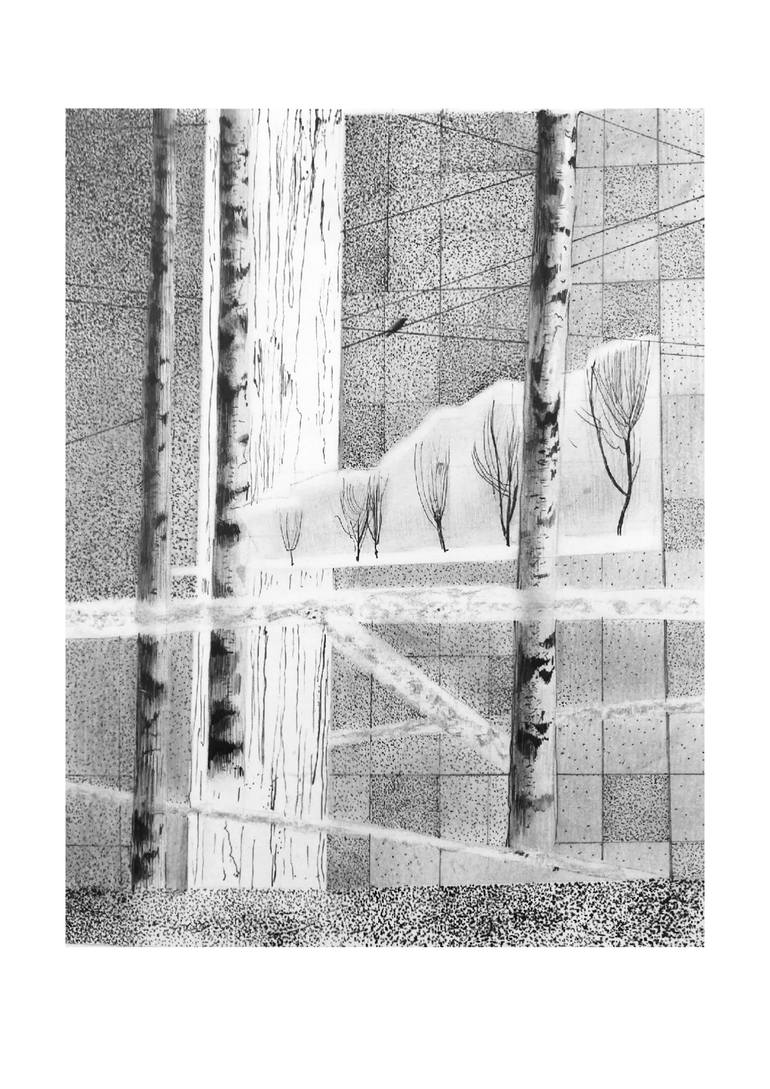 Birch tree Drawing by Taisia Borisova | Saatchi Art