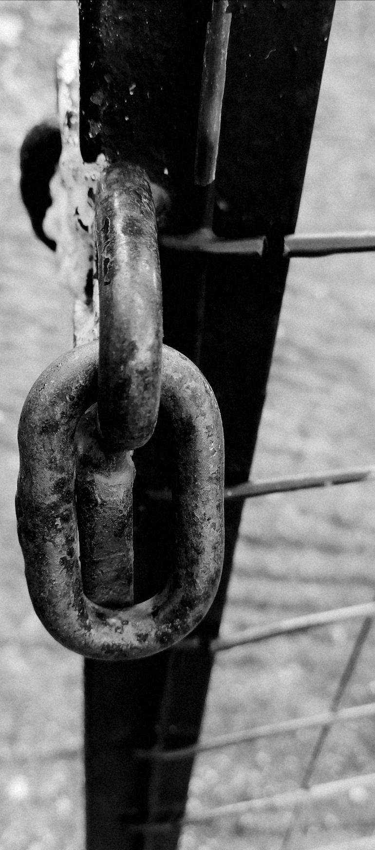 A lock and an old chain - Limited Edition of 1 Photography by Maria ...