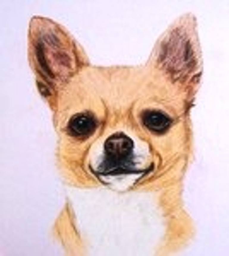 Chico Drawing by Diane Kopczeski | Saatchi Art