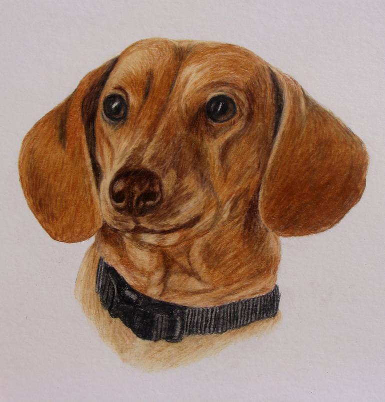 Fritz Drawing by Diane Kopczeski | Saatchi Art