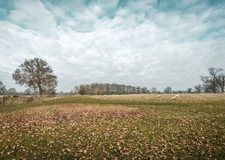 A Country Scene - Limited Edition of 25 Photography by Kevin Mcguinness ...