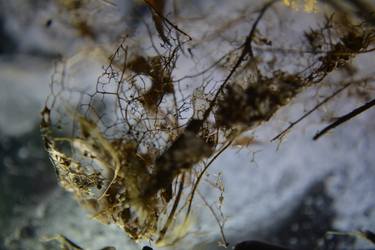 Ivan Bilic Artworks | Saatchi Art