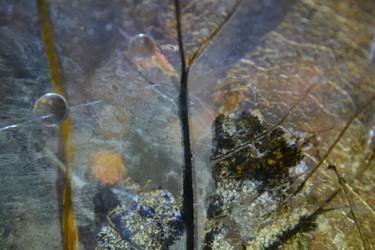 Ivan Bilic Artworks | Saatchi Art