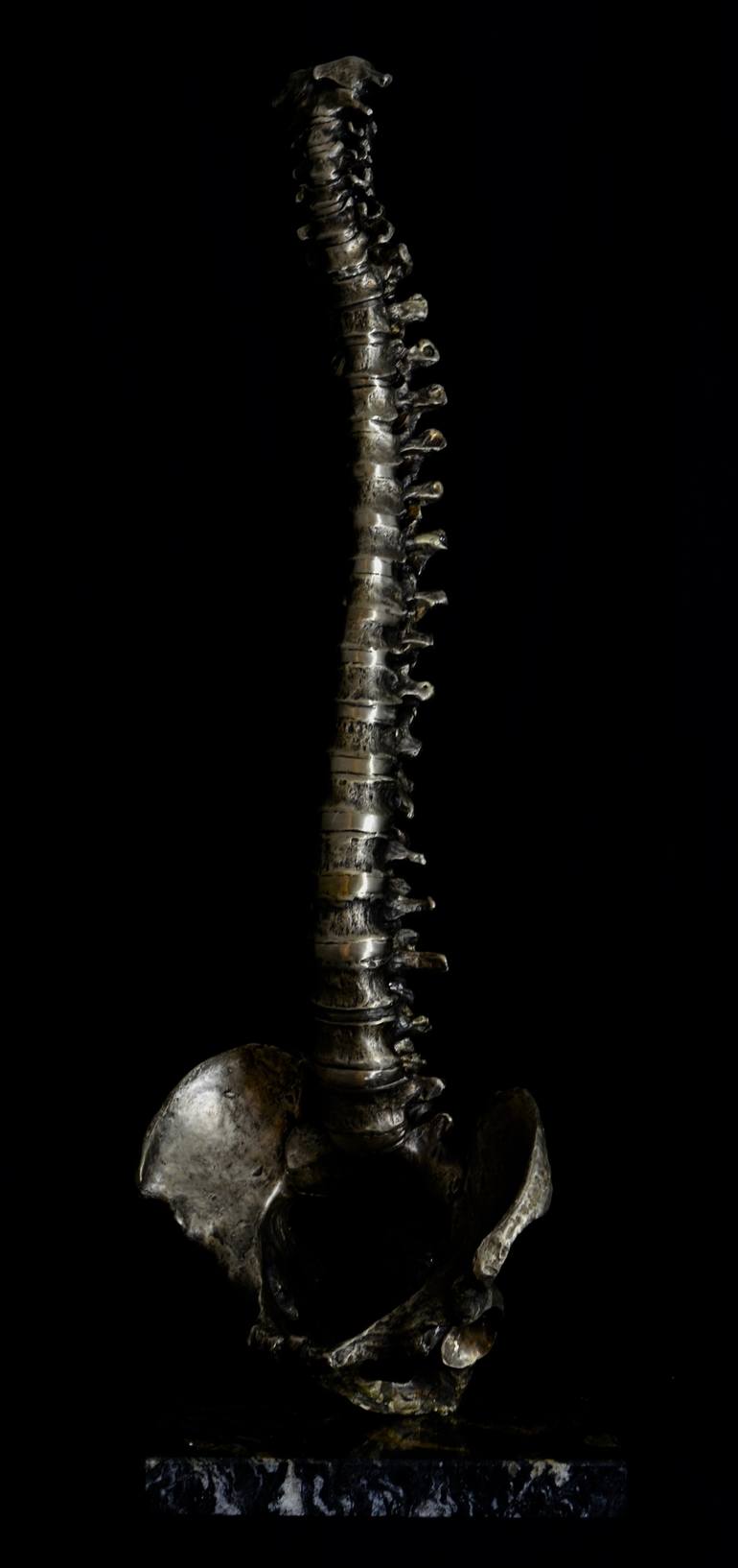 Backbone Sculpture by Isla Mackenzie-Doyle | Saatchi Art